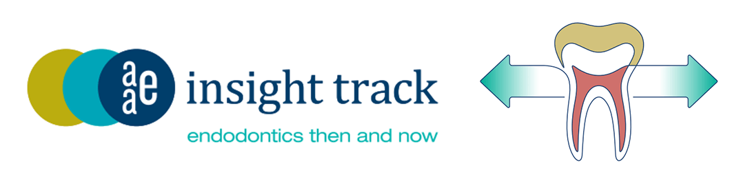 American Association of Endodontists - 2019-2020 Annual Report